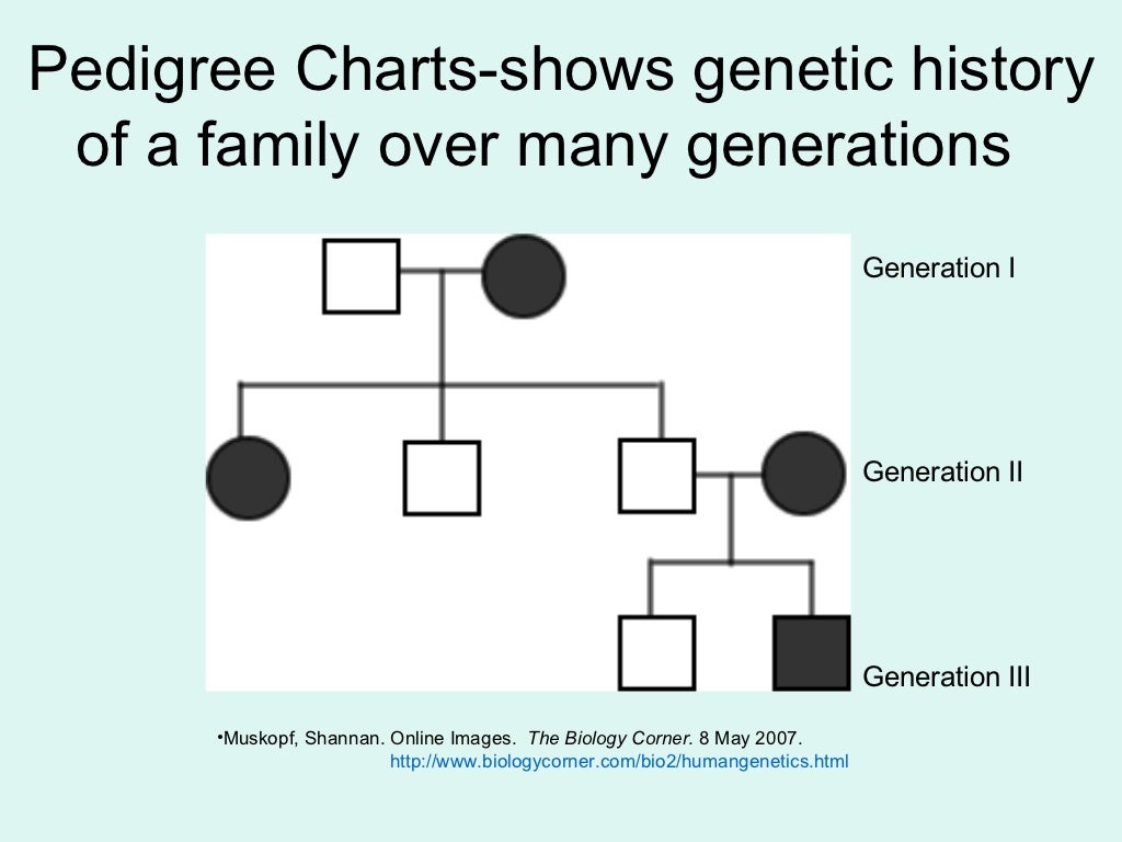 Module 10 Human Heredity module-10-human-heredity
