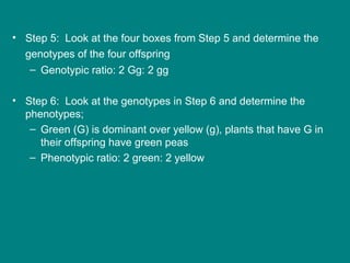 Module 10 patterns of inheritance | PPT