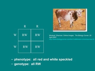 Module 10 patterns of inheritance | PPT
