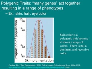 Module 10 patterns of inheritance | PPT