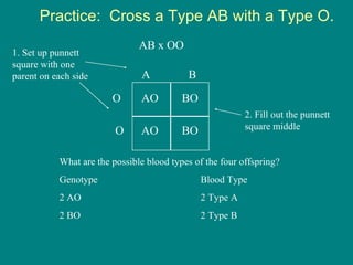 Module 10 patterns of inheritance | PPT