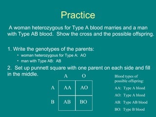 Module 10 patterns of inheritance | PPT