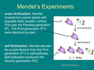 Module 10 patterns of inheritance | PPT