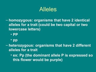 Module 10 patterns of inheritance | PPT