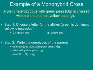 Module 10 patterns of inheritance | PPT
