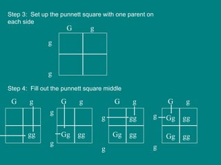 Module 10 patterns of inheritance | PPT