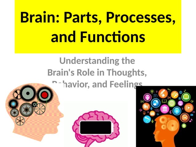 PERSONAL DEVELOPMENT MODULE 11-BRAIN PARTS.pptx