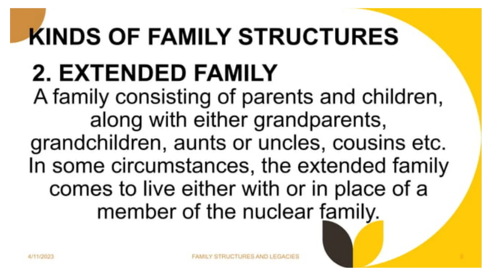 Module 11 - Family Structures and Legacies.pptx