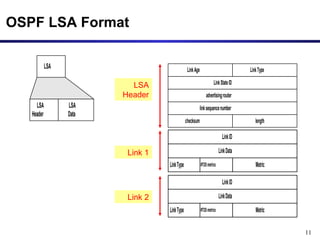 ospf routing protocol | PPT | Databases | Computer Software and Applications