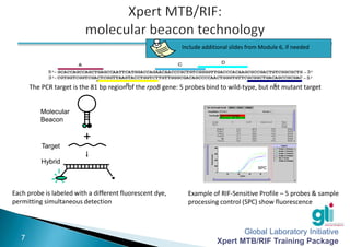 Module 11_CLINICAL GUIDE.pptx