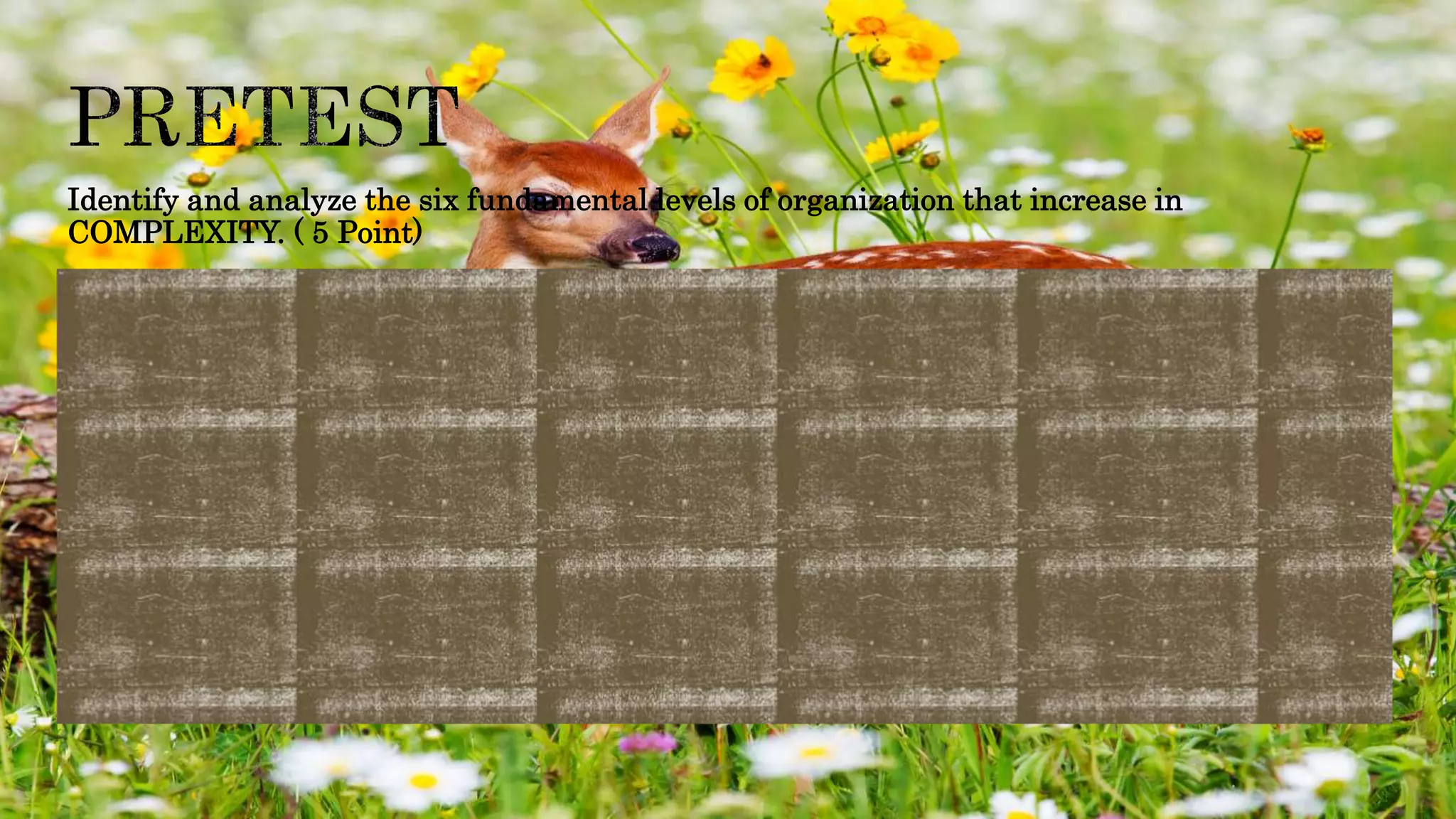 Module #11 how do_animals_survive | PPTX