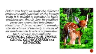 Module #11 how do_animals_survive | PPTX