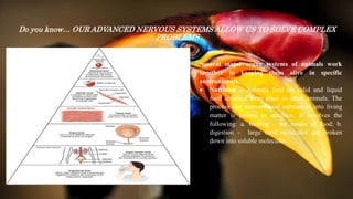 Module #11 how do_animals_survive | PPTX