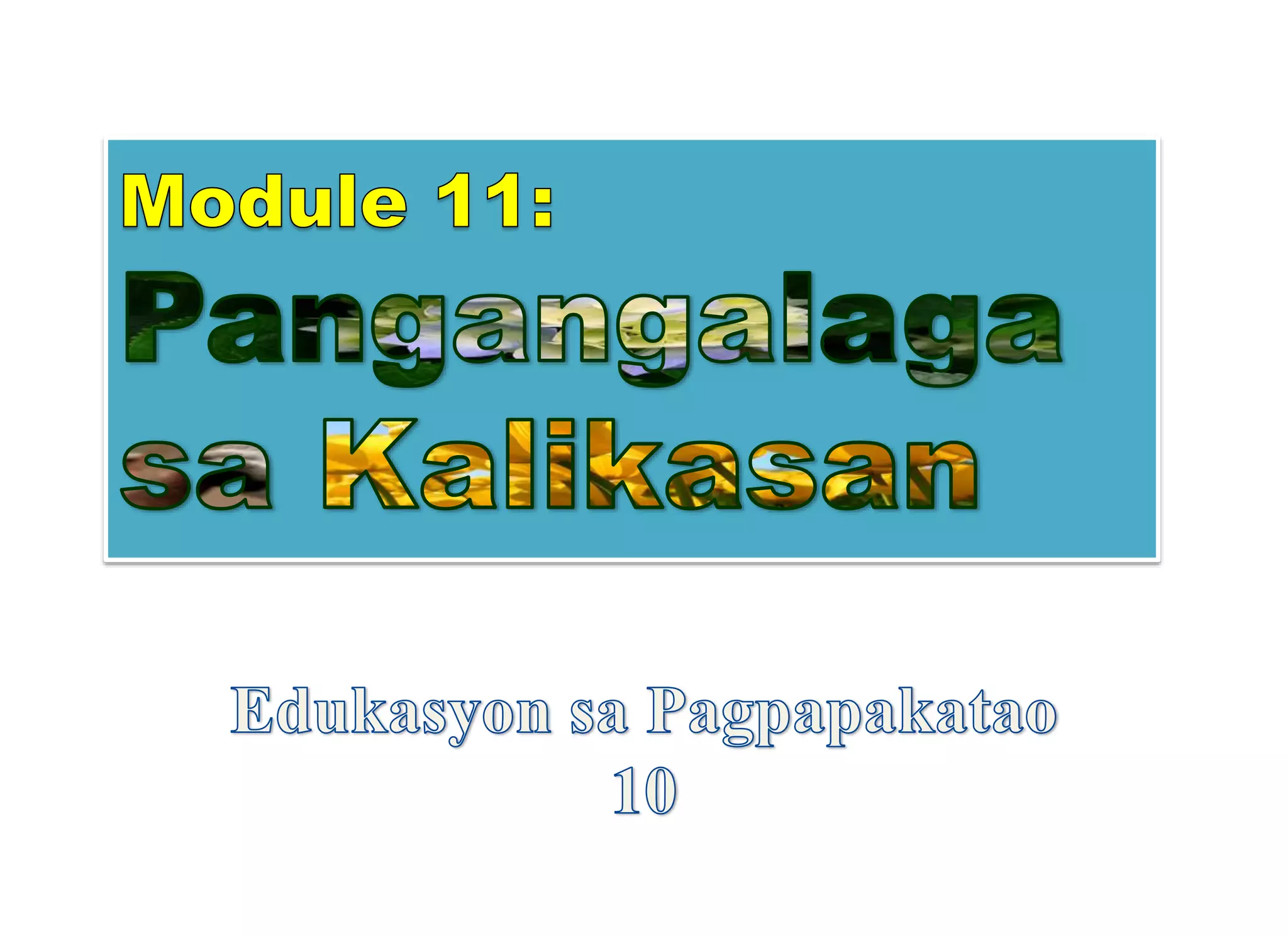Module 11 pangangalaga sa kalikasan es p 10 | PPTX