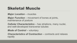 Musculoskeletal Pathophysiology | PPTX