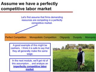 Wages and Employment in Perfect Competition | PPSX