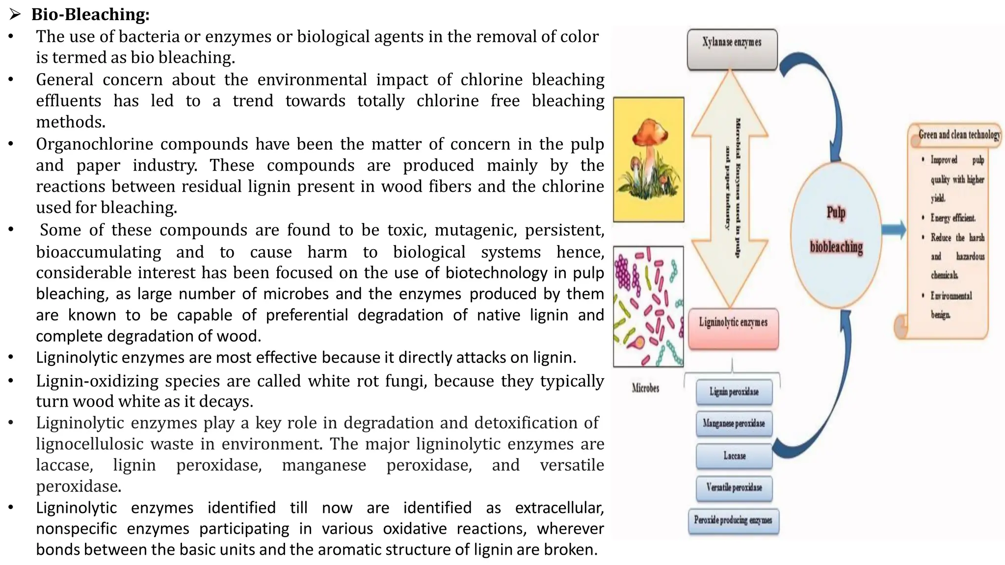 MODULE 1 21BE45 Biology for engineers.pdf