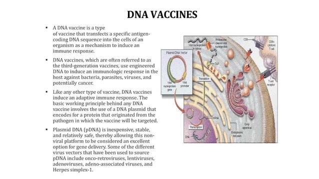MODULE 1 21BE45 Biology for engineers.pdf