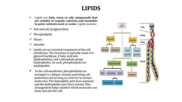 MODULE 1 21BE45 Biology for engineers.pdf