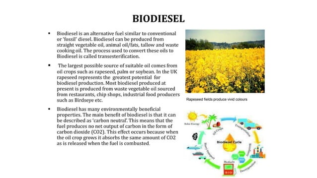 MODULE 1 21BE45 Biology for engineers.pdf
