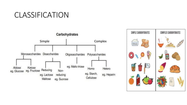 MODULE 1 21BE45 Biology for engineers.pdf