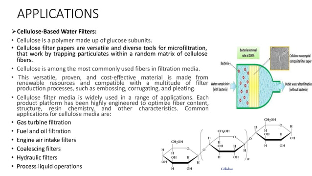MODULE 1 21BE45 Biology for engineers.pdf