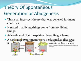 Module 12 lesson 1 | PPT