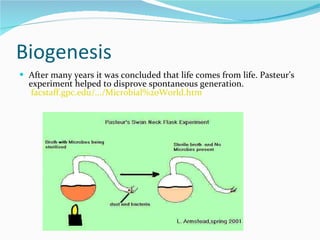Module 12 lesson 1 | PPT