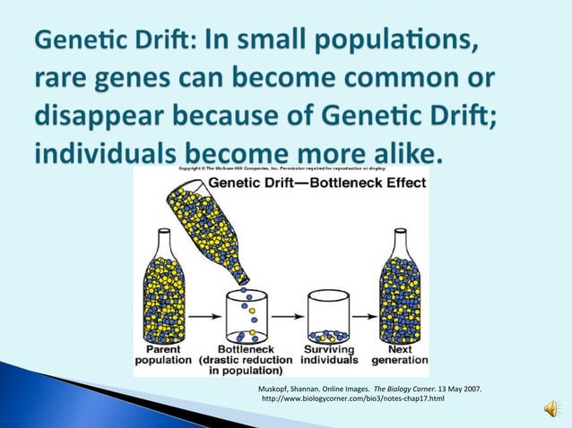 Module 12 lesson 2 | PPT