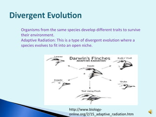 Module 12 lesson 2 | PPT