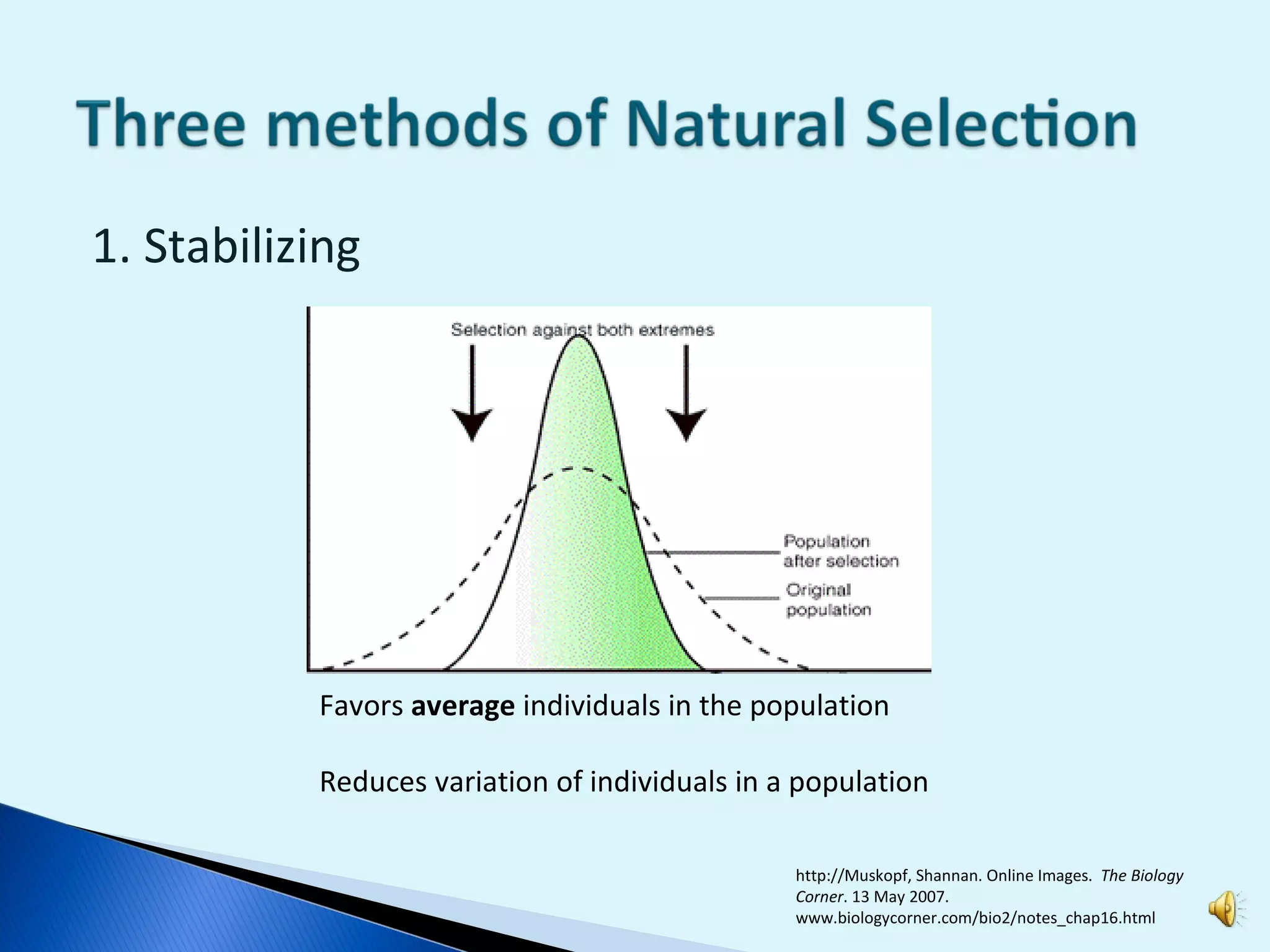Module 12 lesson 2 | PPT