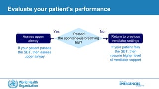 Module 12 liberation v2 | PPT
