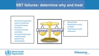 Module 12 liberation v2 | PPT