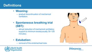 Module 12 liberation v2 | PPT