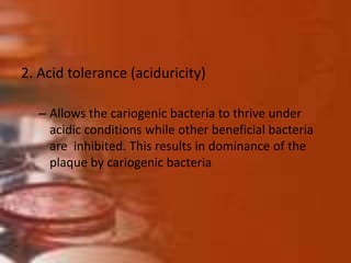 Module 13 oral microbiology | PPTX