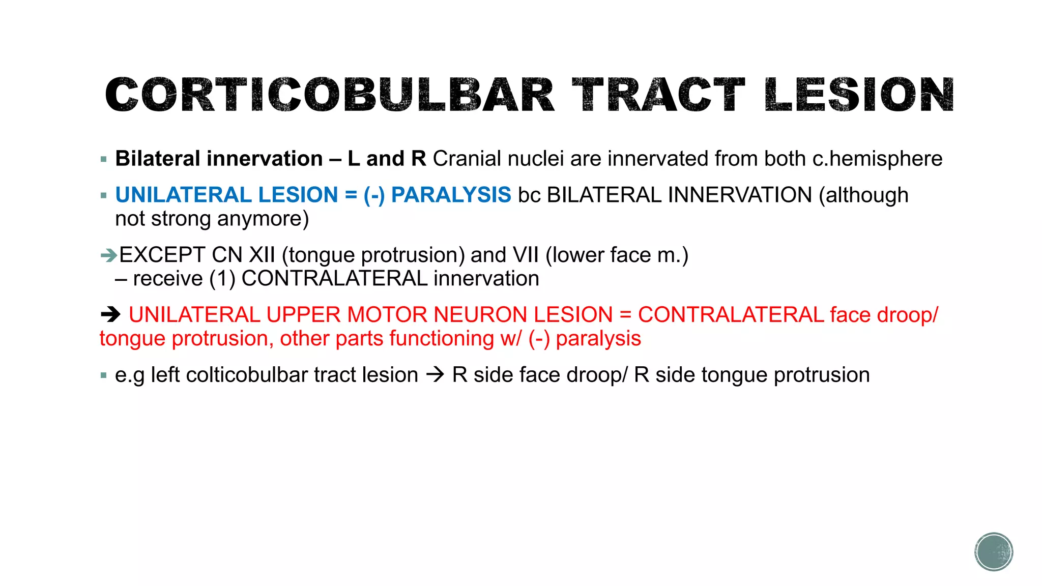 NEUROANATOMY: MOTOR SYSTEM | PPTX