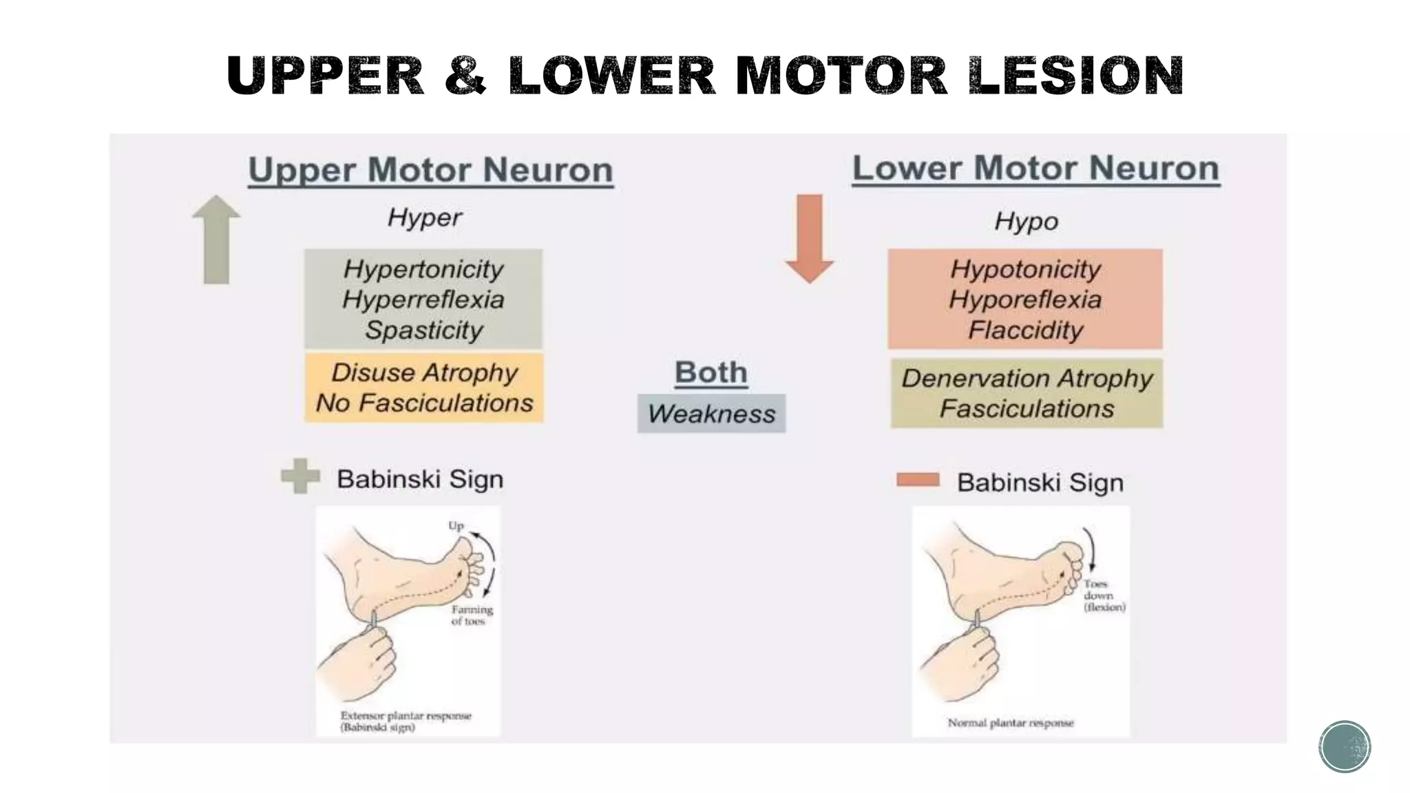 NEUROANATOMY: MOTOR SYSTEM | PPTX