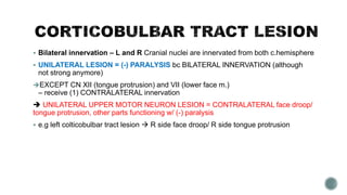 NEUROANATOMY: MOTOR SYSTEM | PPTX