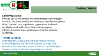 Module 13 RoshanZada - Organic farming in tomato crop.pptx