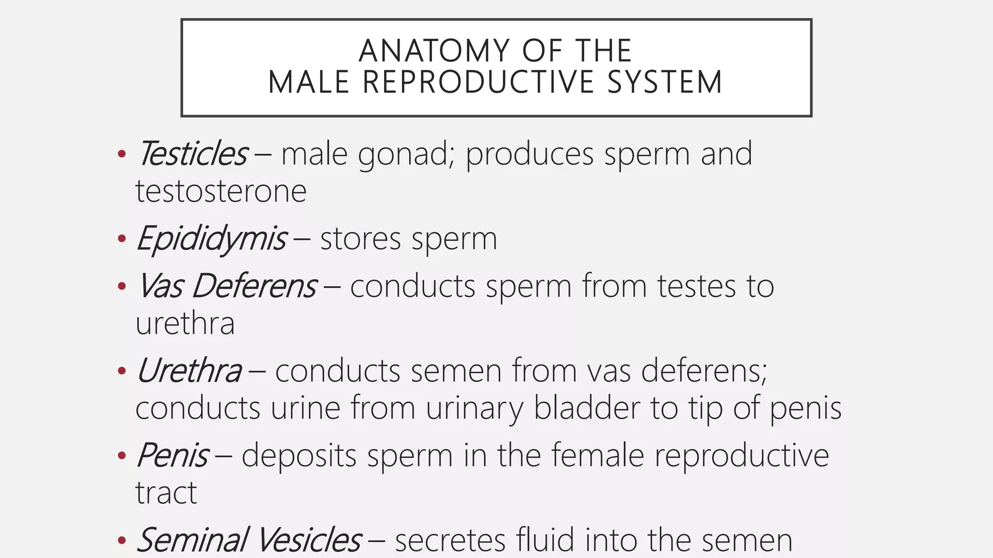 Male and Female Reproductive Pathophysiology | PPTX