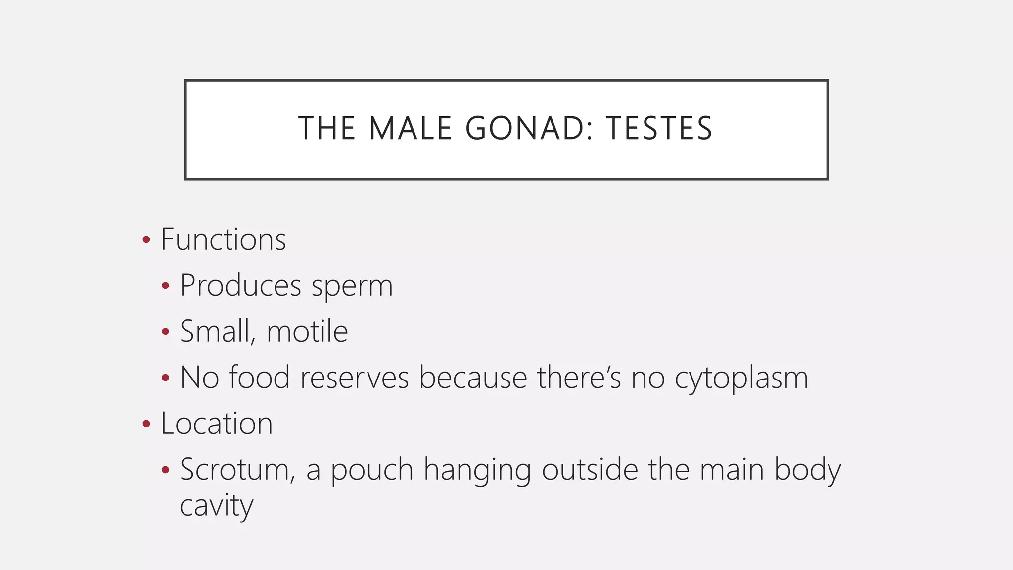 Male and Female Reproductive Pathophysiology | PPTX