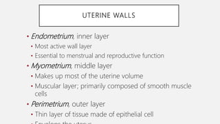 Male and Female Reproductive Pathophysiology | PPTX