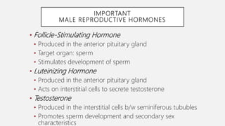 Male and Female Reproductive Pathophysiology | PPTX