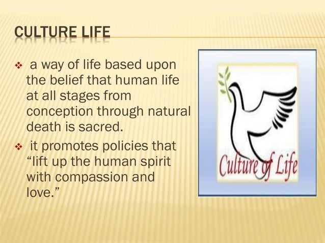 MODULE 14-ESP10.ppt.pdf