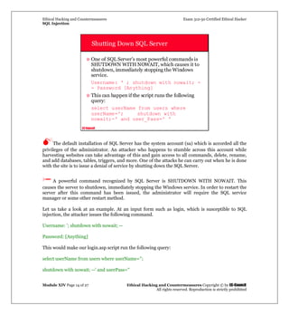 Module 14 (sql injection) | PDF