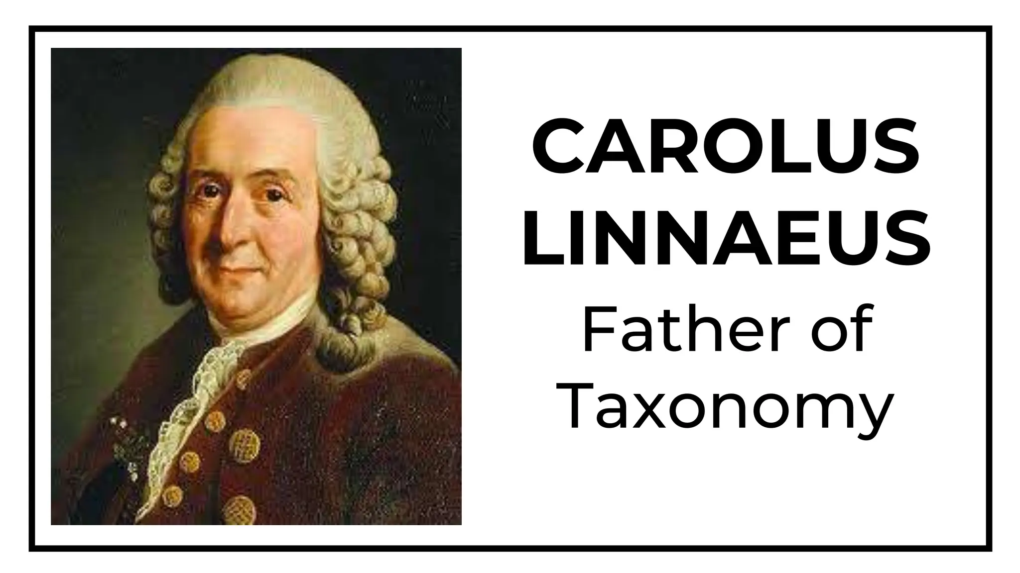 Module 15 - Taxonmy (Science 8) 4th quarter | PPTX
