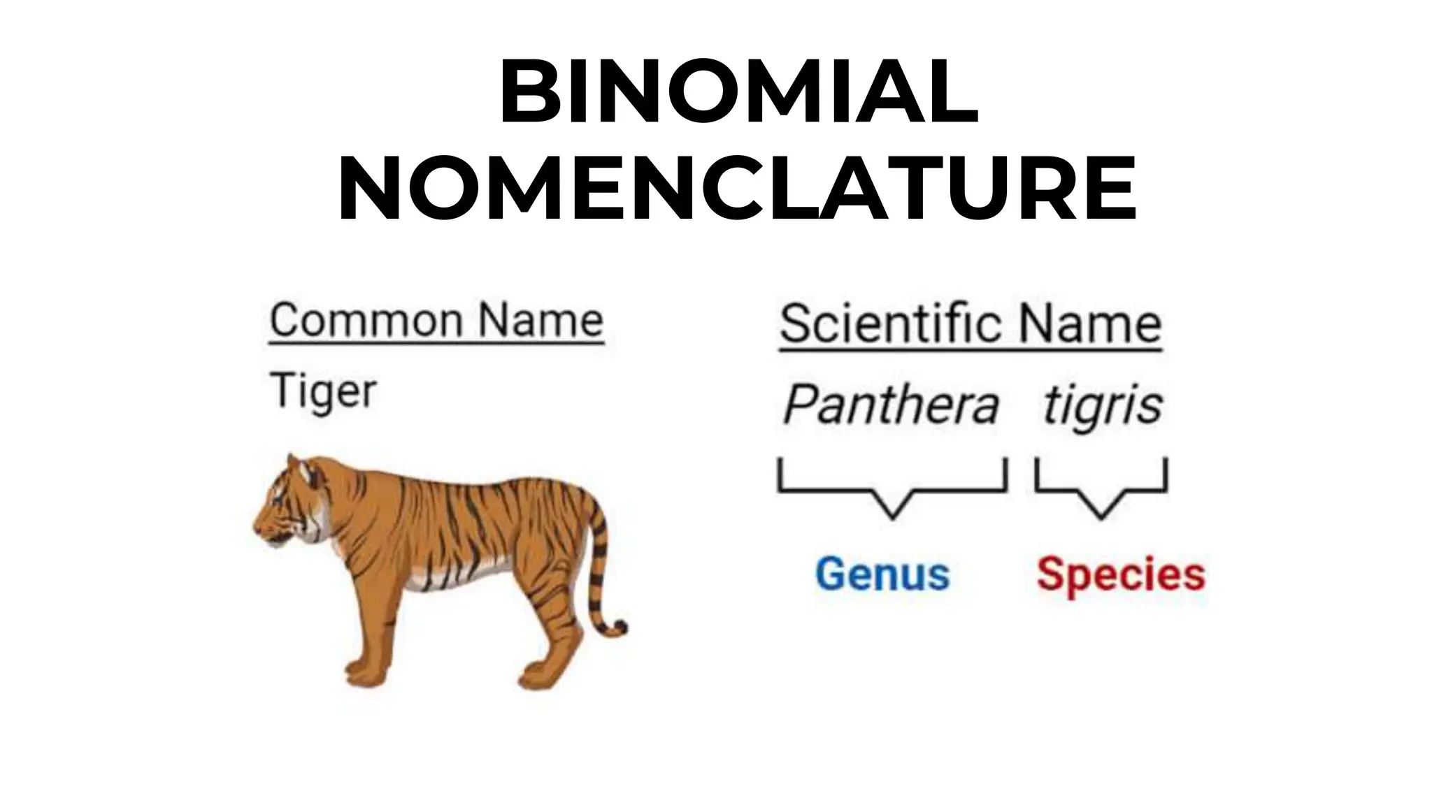 Module 15 - Taxonmy (Science 8) 4th quarter | PPTX