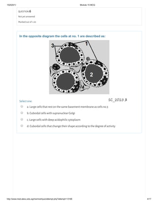 Module 15 mcq | PDF