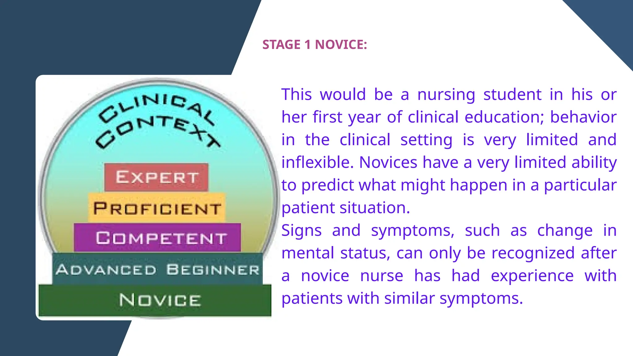 Roles and Responsibilities of Nurse Practitioner | PPTX