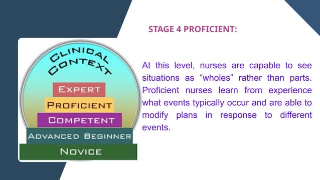Roles and Responsibilities of Nurse Practitioner | PPTX